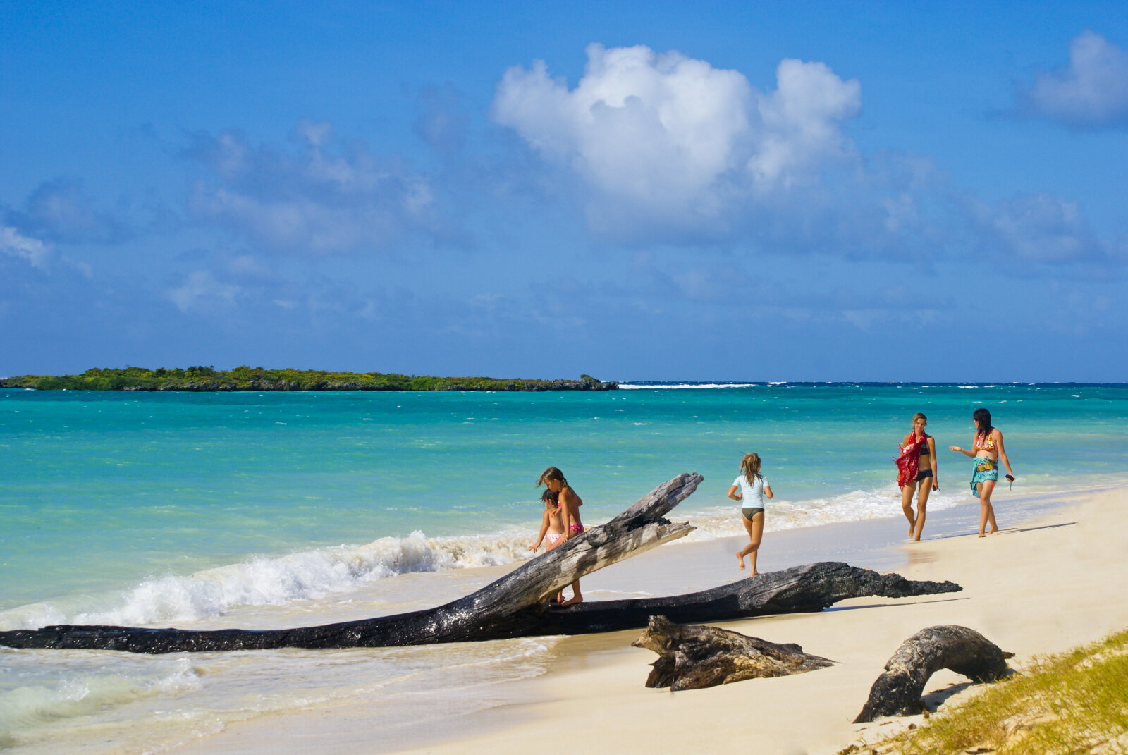 Wildlife experience in the Northern part of Madagascar in 12 days ...