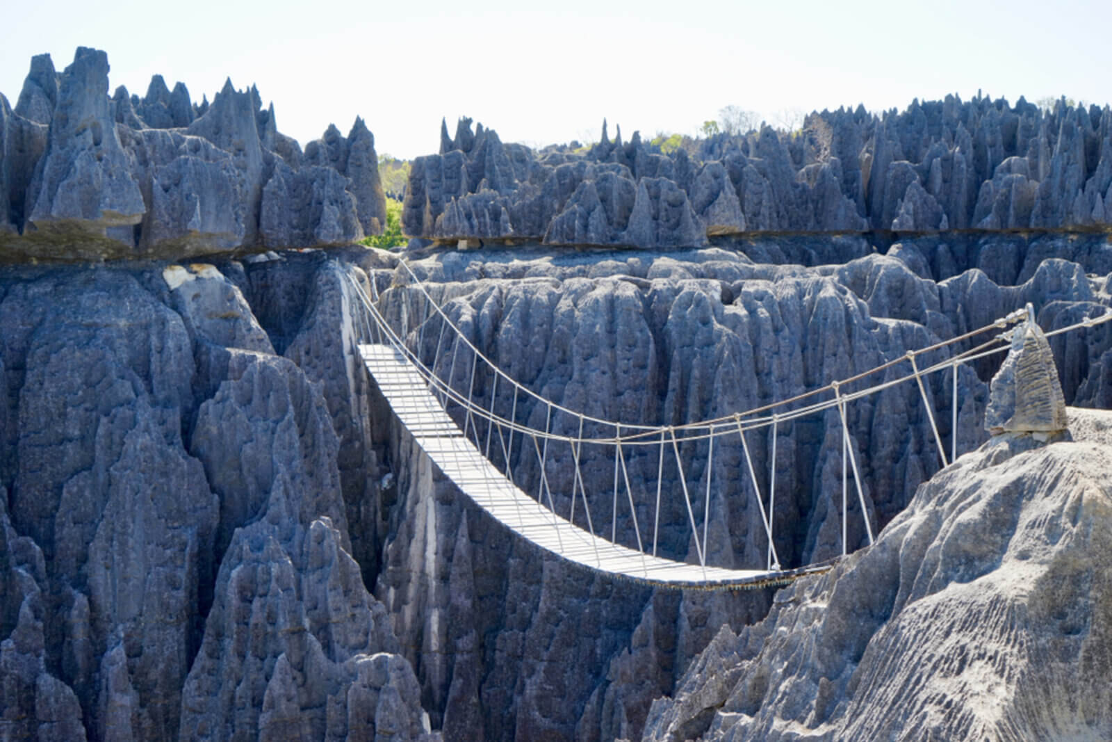 Adventure through the famous Tsingy of Bemaraha in 7 days | Madagascar ...